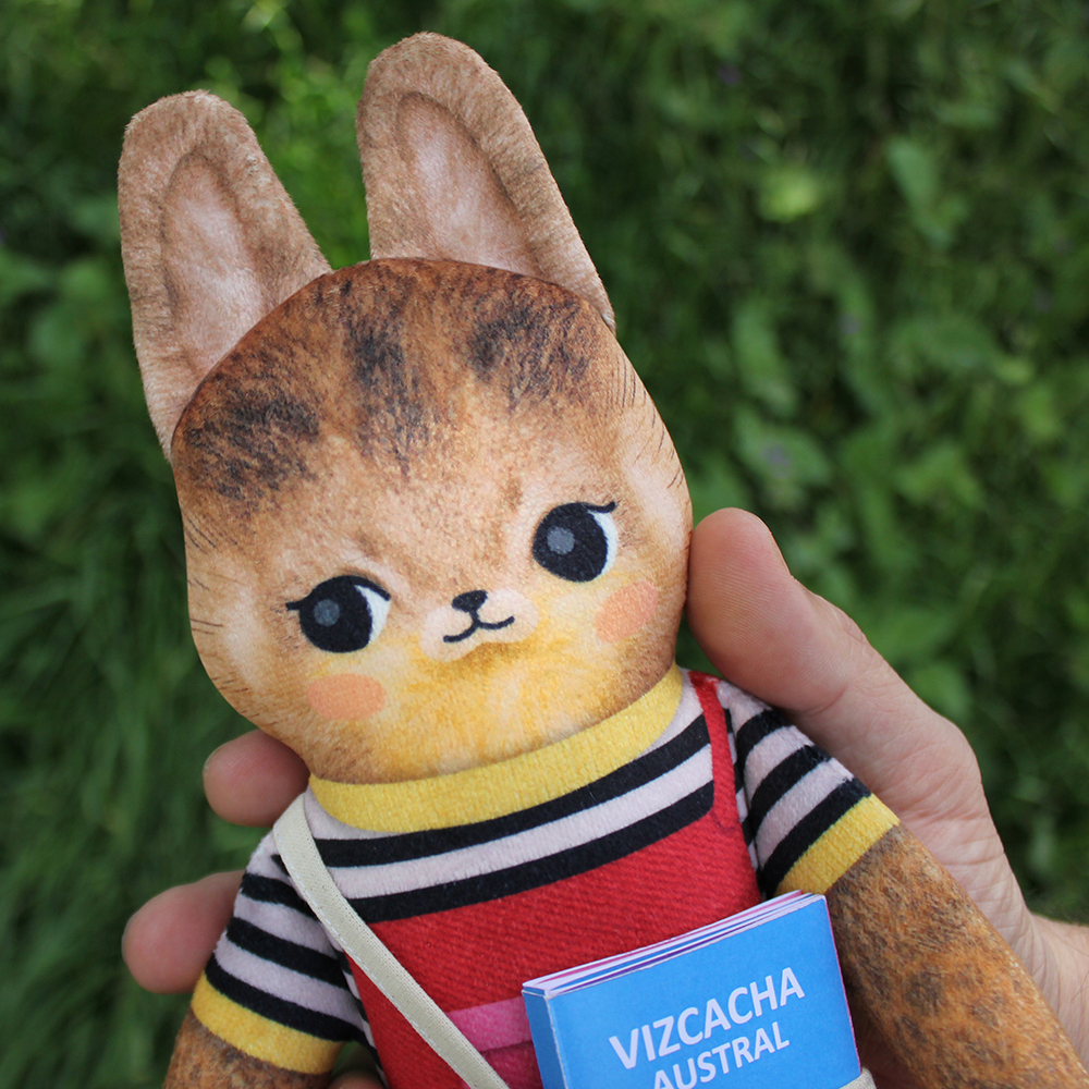 Vizcacha austral - HABICHUELAS